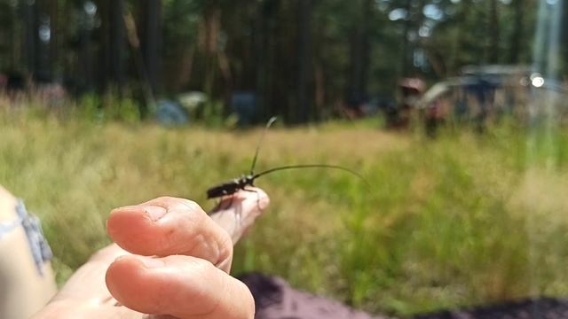 Озеро Байкал во Владимирской области и нежданный гость
