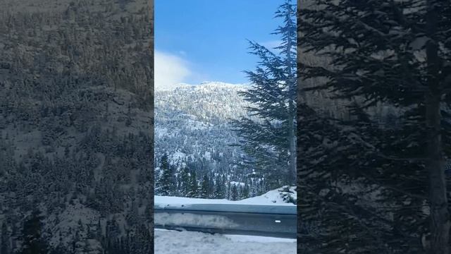 По дороге в Конью  (Турция, Сейдишехир) #shorts