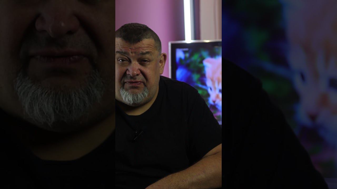 Котики  - наше все!