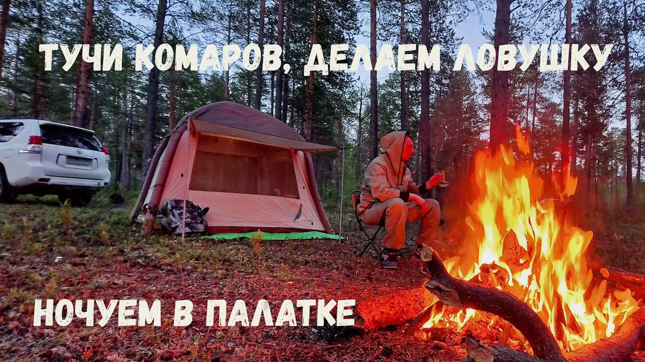 Одиночный кемпинг, новая палатка Naturehike, сосновый бор [ Relax Eat Sleep Repeat, ASMR ]