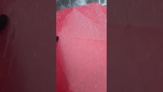 «Хорошо, что зонт не забыла, а то сама бы превратилась в льдышку» - Москва 24