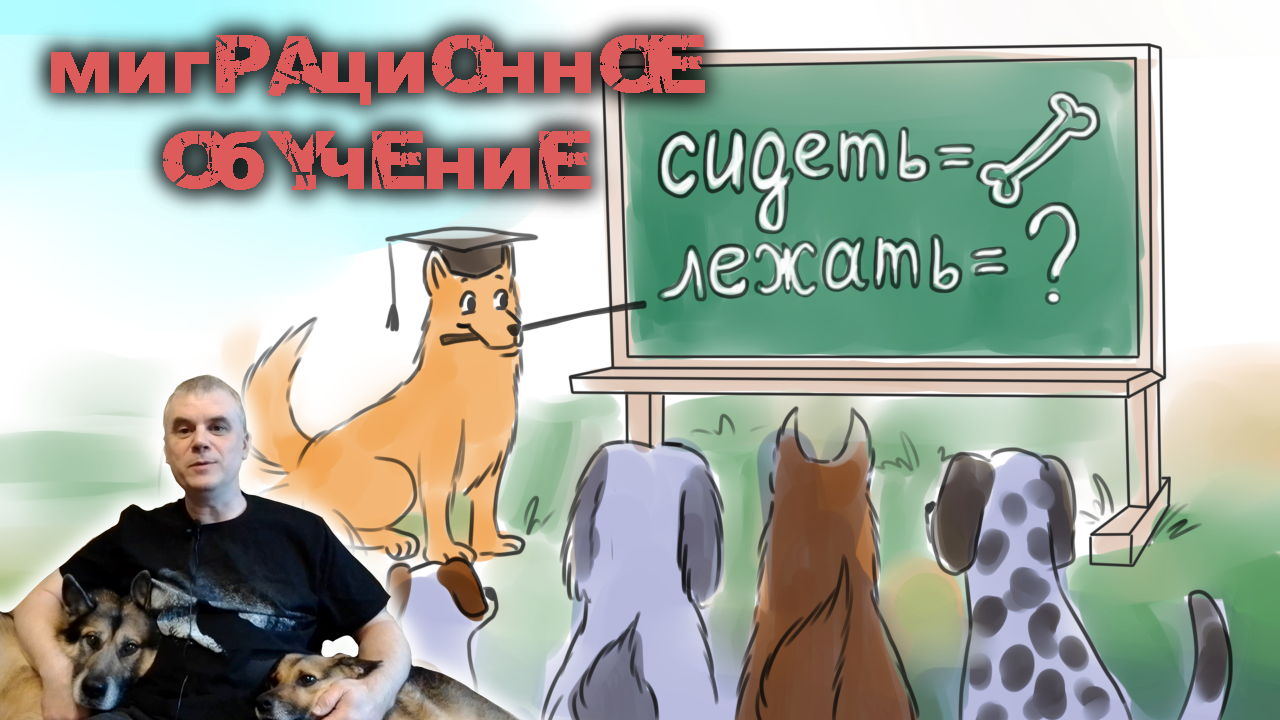 Миграционное обучение собаки / Кинология / Зоопсихология / Дрессировка