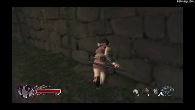 Tenchu Fatal Shadows #2 (PS2)