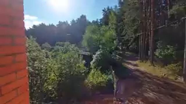 ОБЕЗЬЯНЬЯ ДРАКА... РАССОРИТЬ ВРАГОВ... ОЧЕНЬ СИЛЬНО... ДЛЯ ВСЕХ... ВЕДЬМИНА ИЗБА