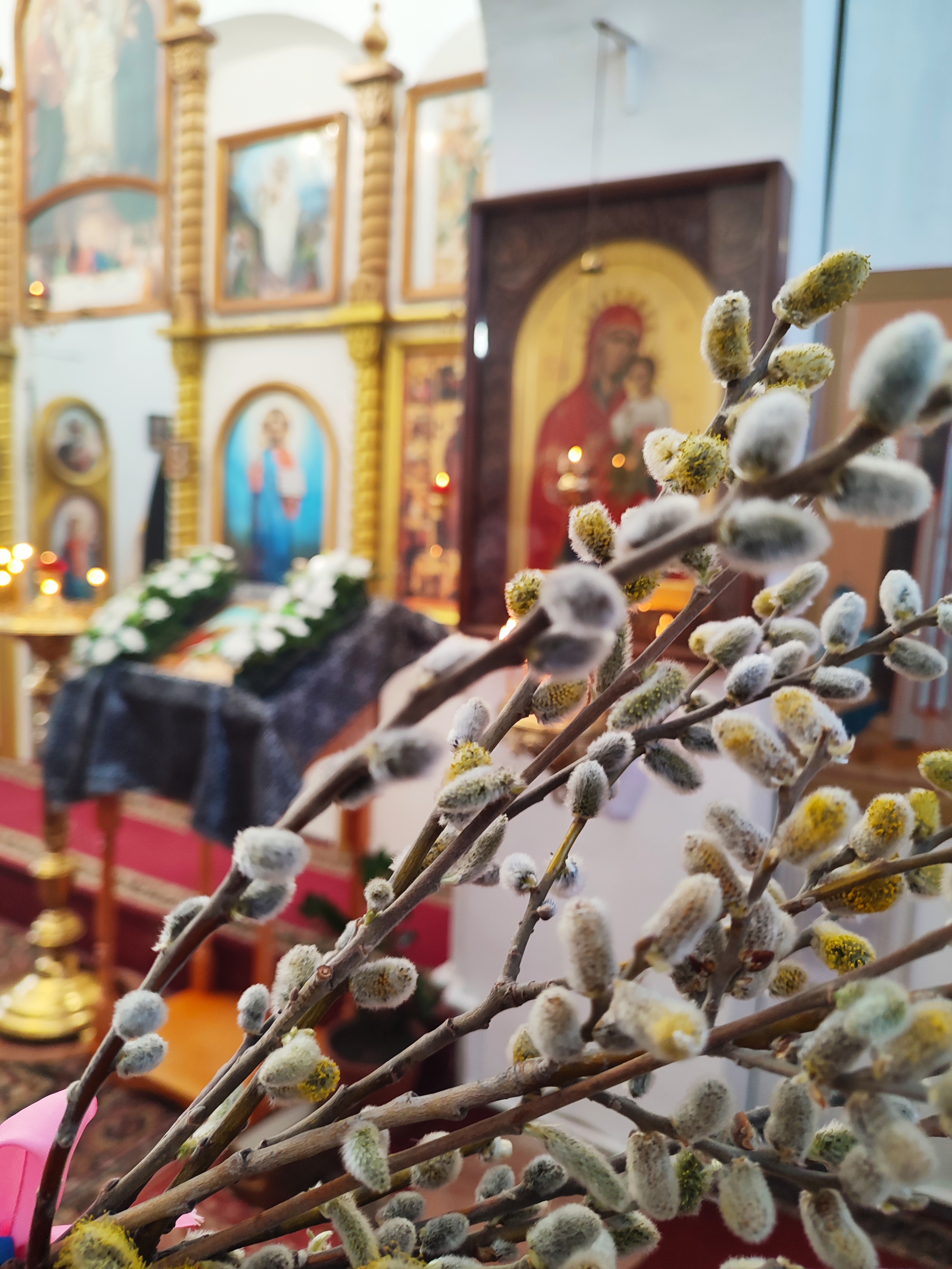 Иисус сказал:пустите детей и не препятствуйте им приходить ко Мне,ибо таковых есть Царство Небесное