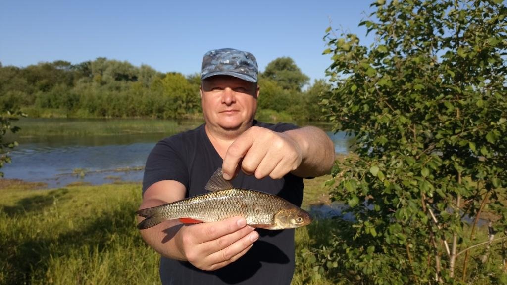 Определение длины и массы голавля на рыбалке. Промысловая длина рыбы. Правила рыболовства