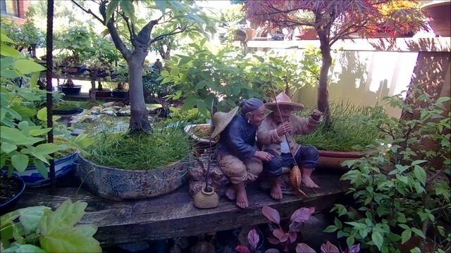 Бонсай весной озвучка 2 часть  Bonsai spring voiceover 2 part  2023 год