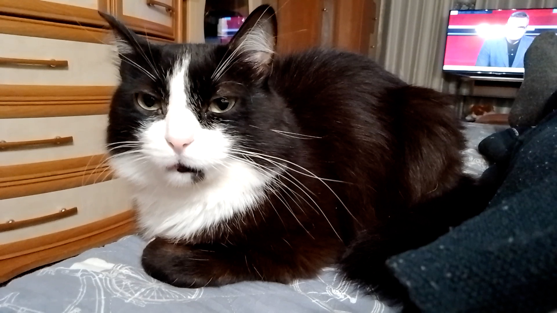 КТО в доме ХОЗЯИН