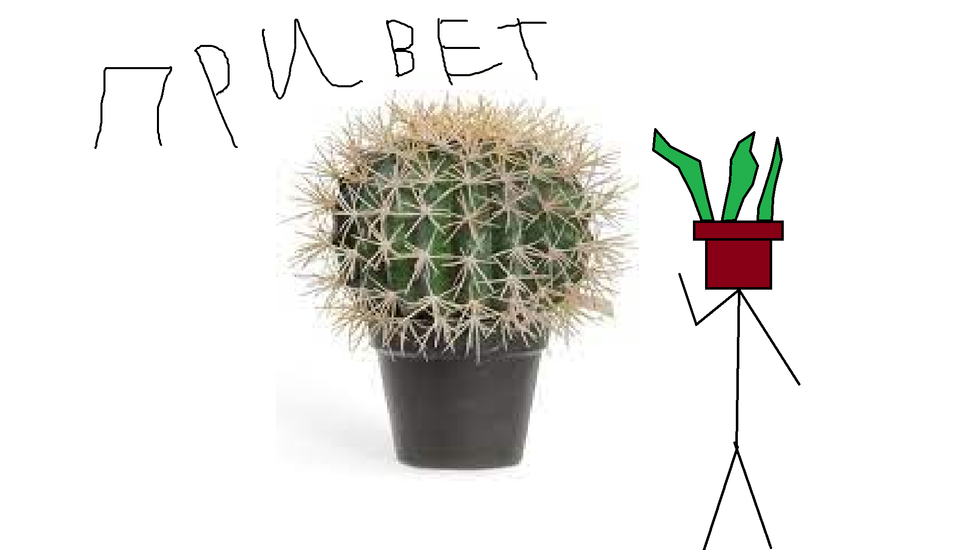 Майнкрафт: встреча с КаКтусом Анимация