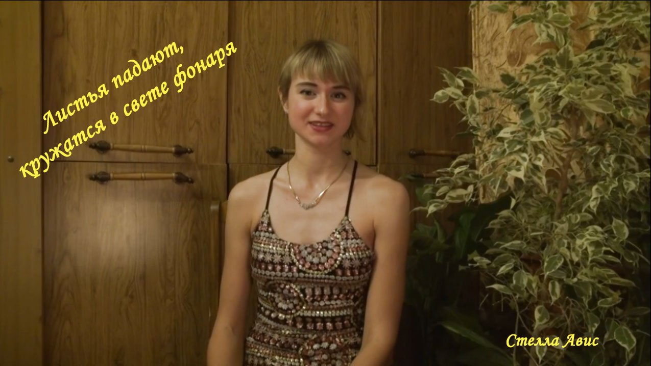 Стелла Авис. Листья падают, кружатся в свете фонаря