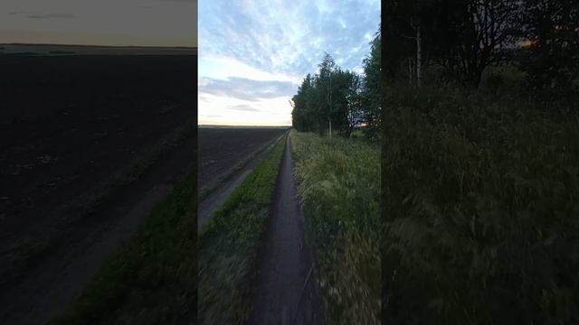 #мордовия #природа #рузаевка