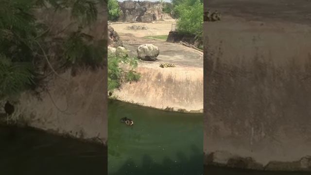 Первый спуск на воду