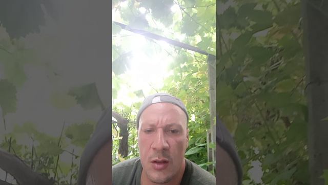 490.1.53.प.€. NO ++. ПРОРОЧЕСТВО.  УКРАИНА. БУДУЩЕЕ. PROPHET. SHCHERBAKOV. ЩЕРБАКОВ АРТЕМ .