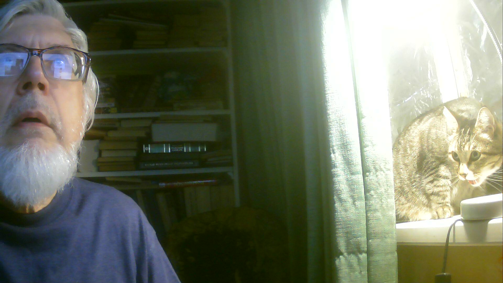 Стандартные библиотеки в Python. Библиотека pathlib. Управление файлами