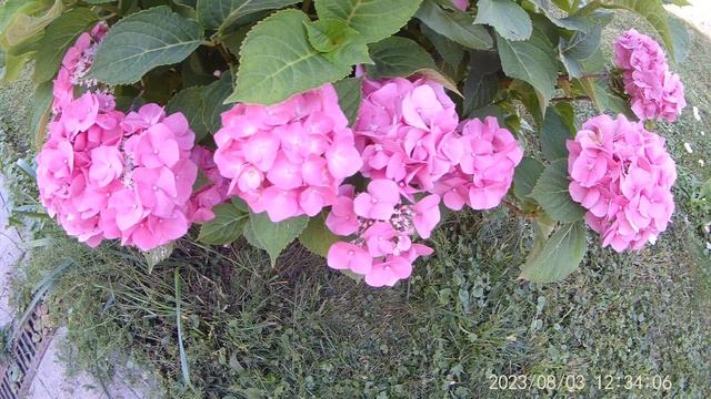 Старо-Голутвин монастырь