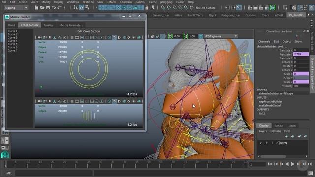 02 11 Building Head and Jaw Muscles