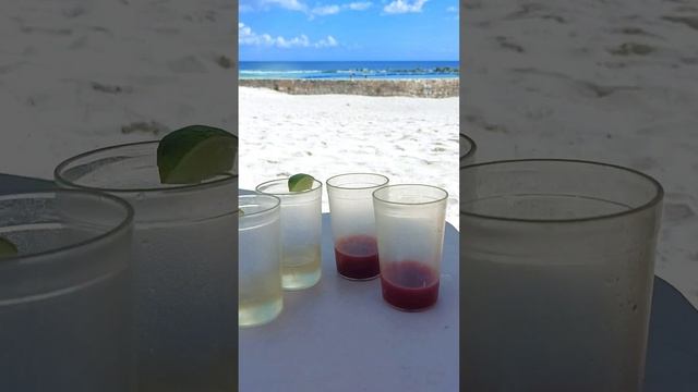 MovaviClips_Video_20211107-002617.mp4