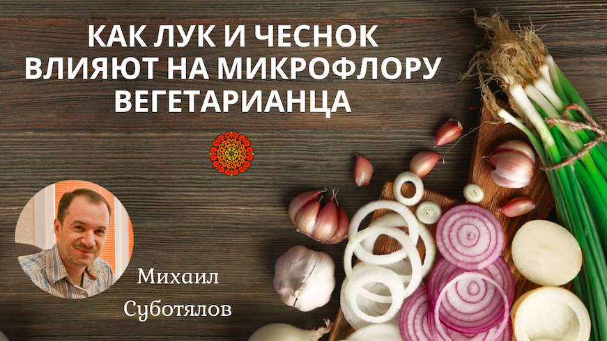 Как, лук и чеснок, влияют на микрофлору вегетарианца.