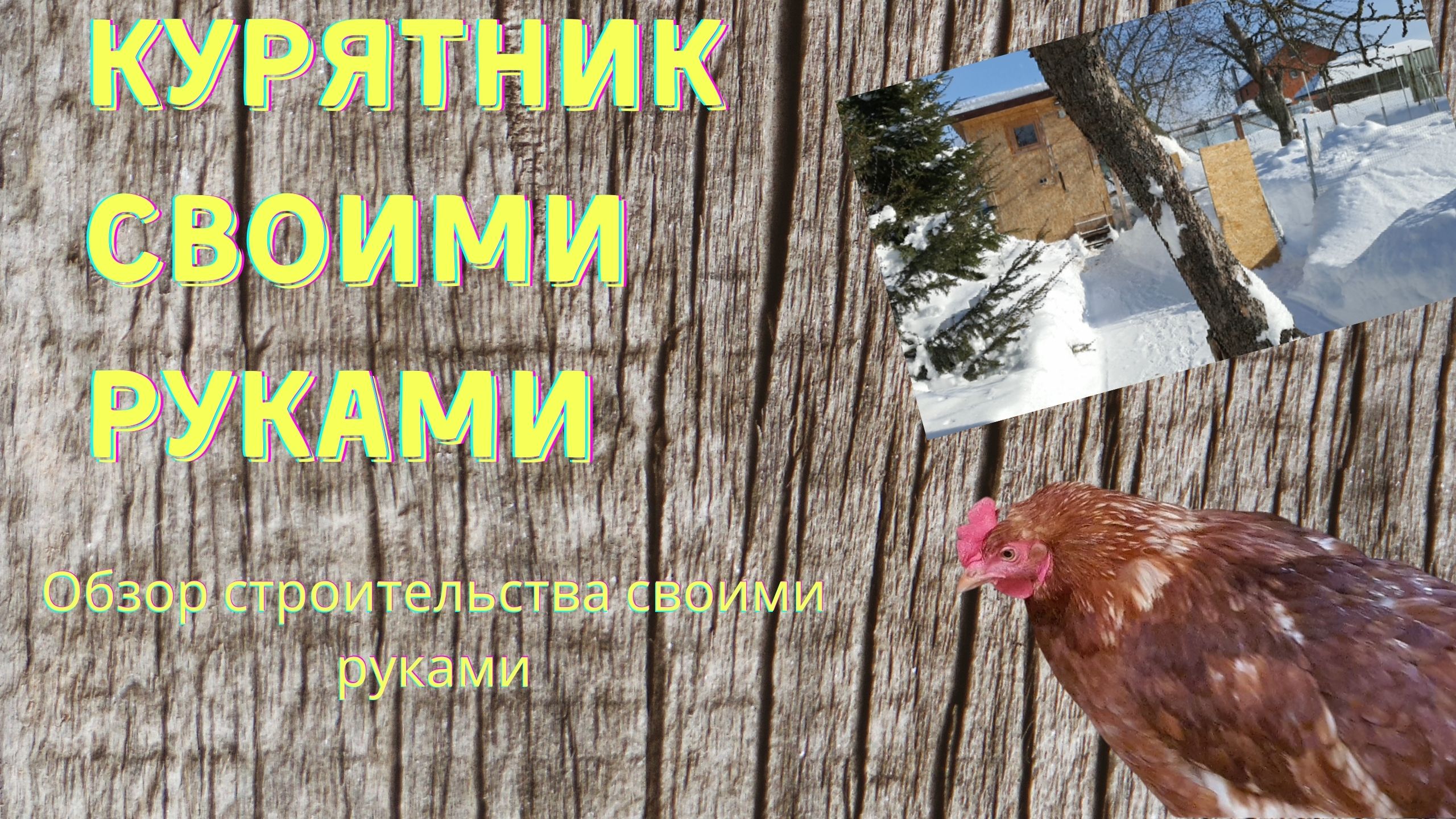 Курятник своими руками