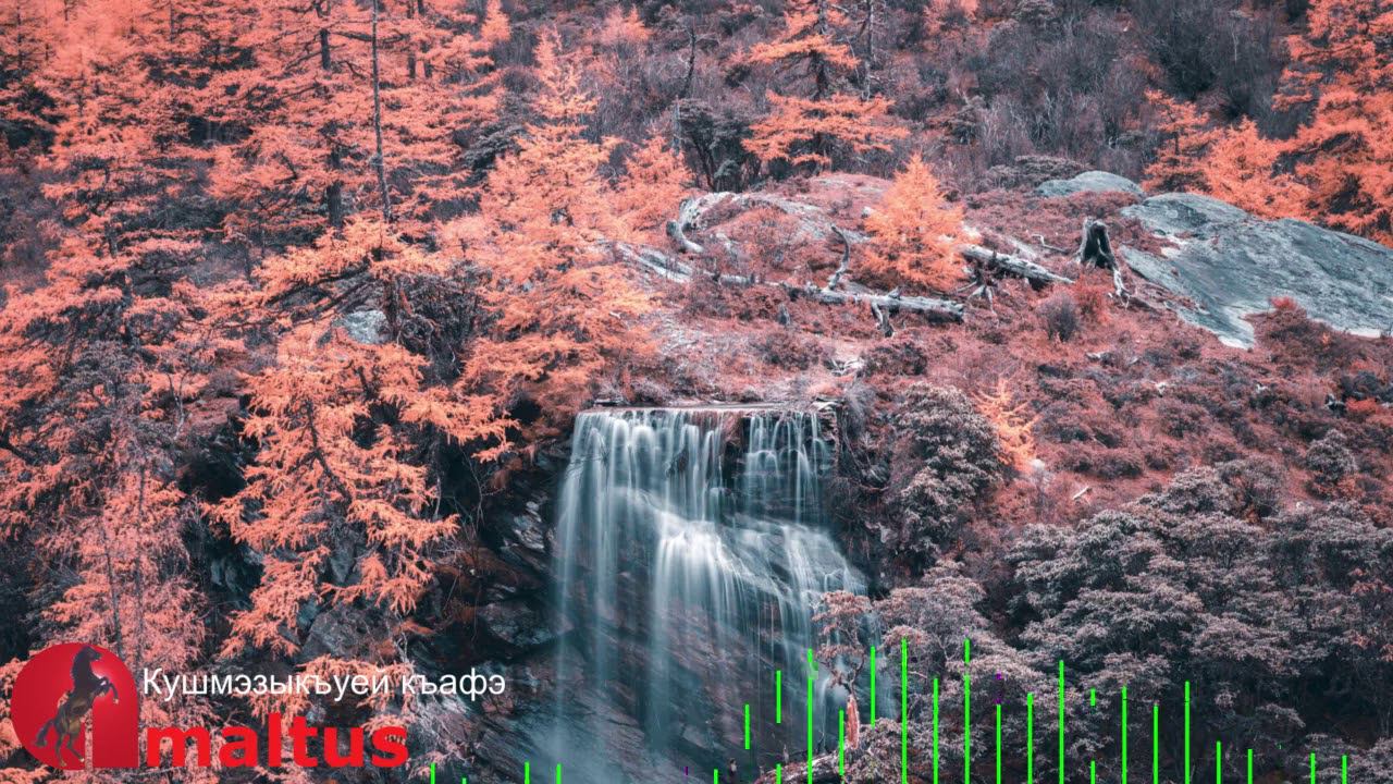 Кушмэзыкъуей къафэ