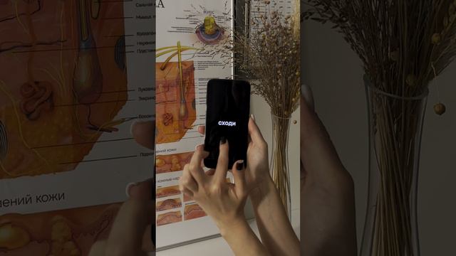 Сходи на ЛЭ