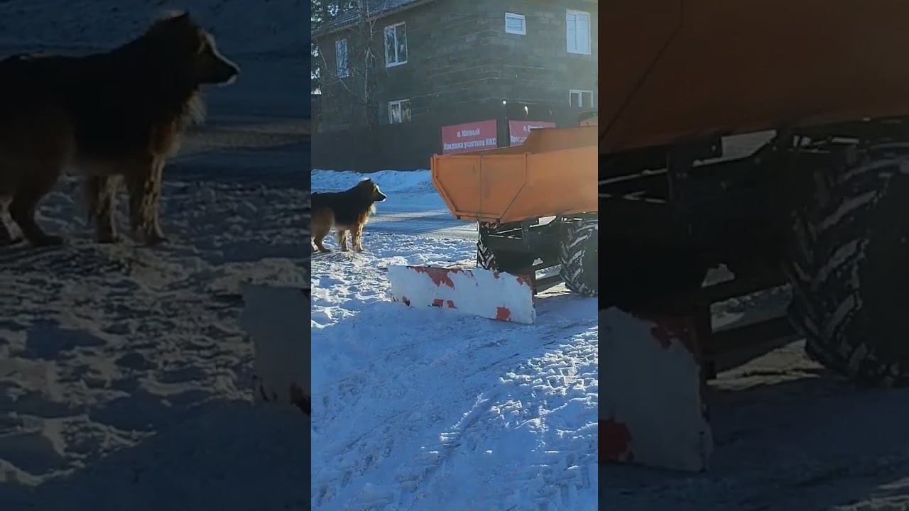 чистим снег на переделанном электро  минитракторе