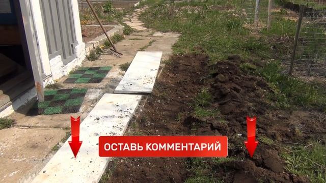 СТАРЫЕ ПОДОКОННИКИ