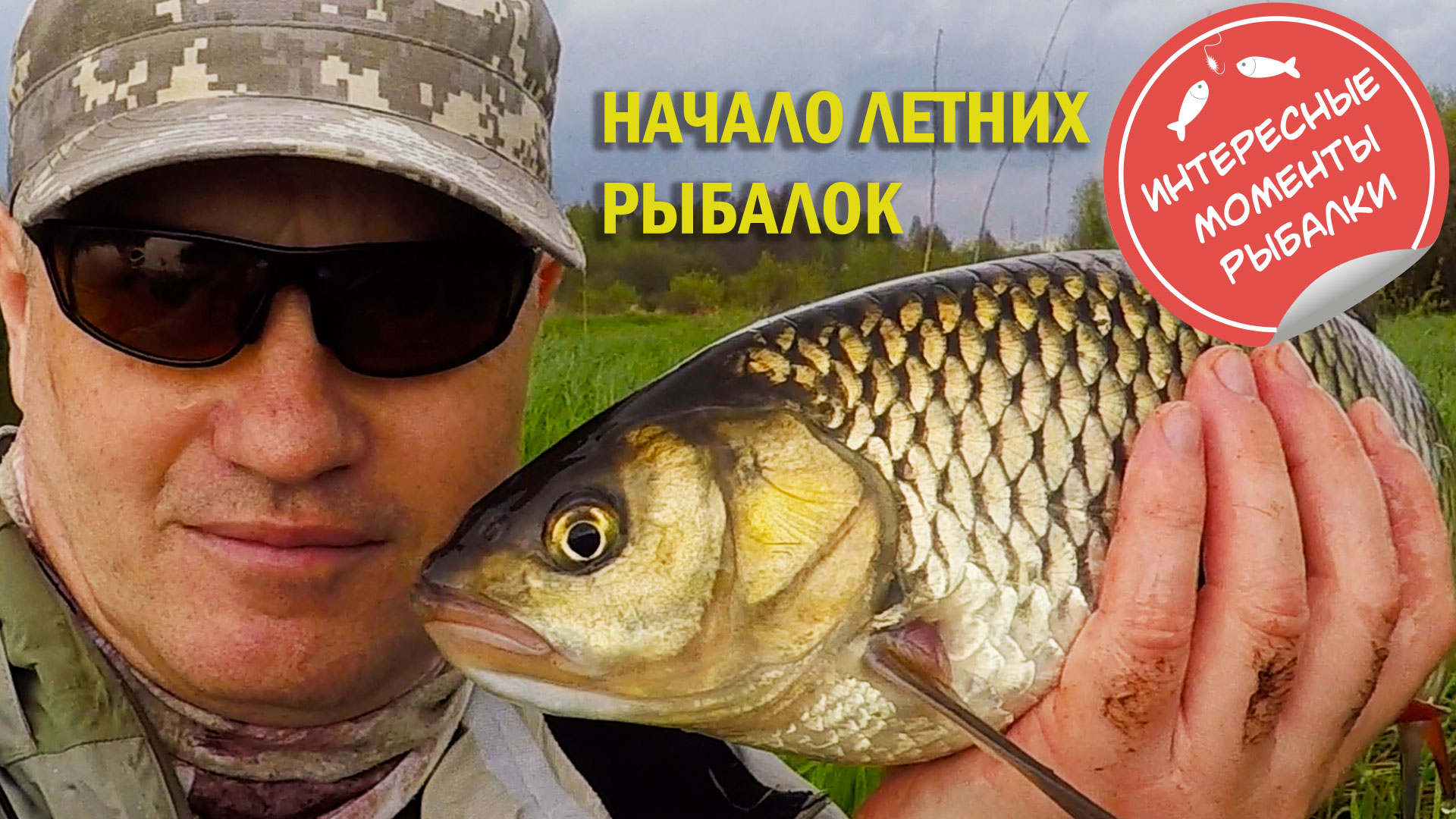 Начало летних рыбалок. Трофейный голавль на мокрую мушку.