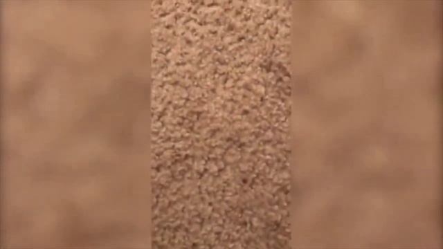 ?Лучшие смешные ПРИКОЛЫ ? #9