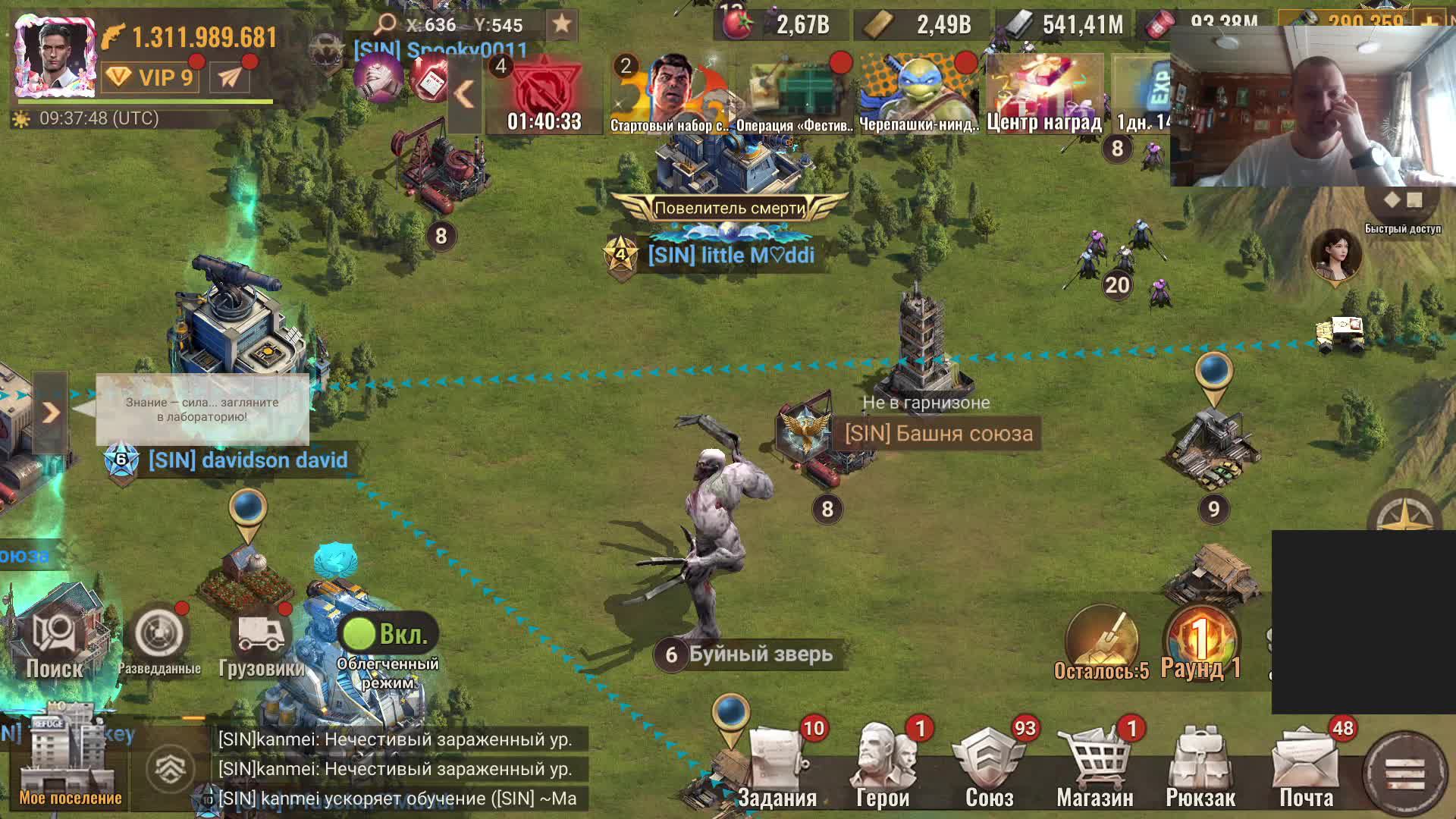 фест, дейлик