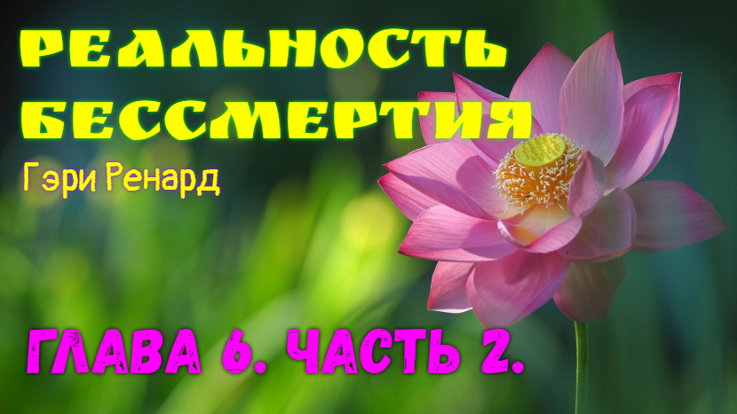 РЕАЛЬНОСТЬ БЕССМЕРТИЯ. Гэри Ренард. ГЛАВА 6. ЧАСТЬ 2.