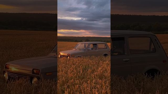 Теплый вечер