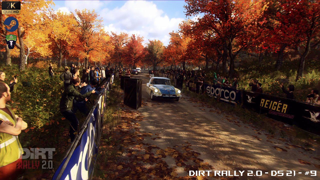 Dirt Rally 2.0 - Citroen DS 21 - #9