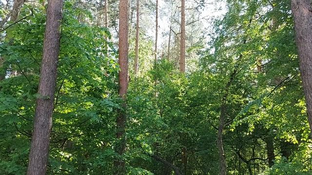 Род...Семь Поколений...Семь Наказаний...и Т.Д....Инга Хосроева...Ведьмина Изба