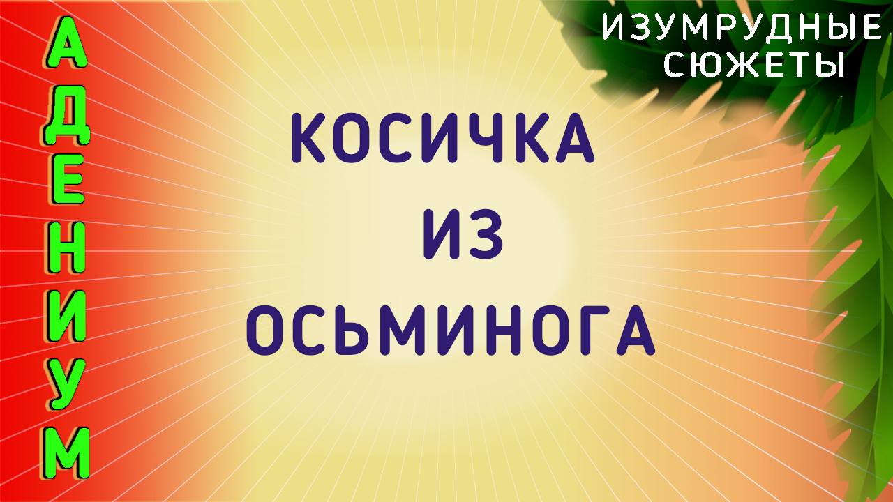 Адениум. Как сформировать каудекс Адениума и корни не обычно. Косичка из осьминога.
