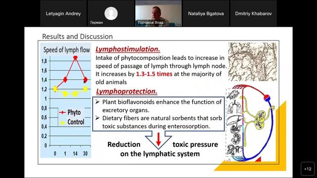 Владимир Горчаков "Фитокоррекция скорости старения кишечной области лимфатического узла"