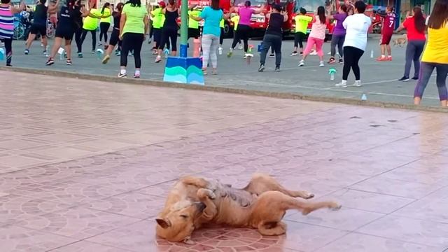 Ни дня без спорта.
