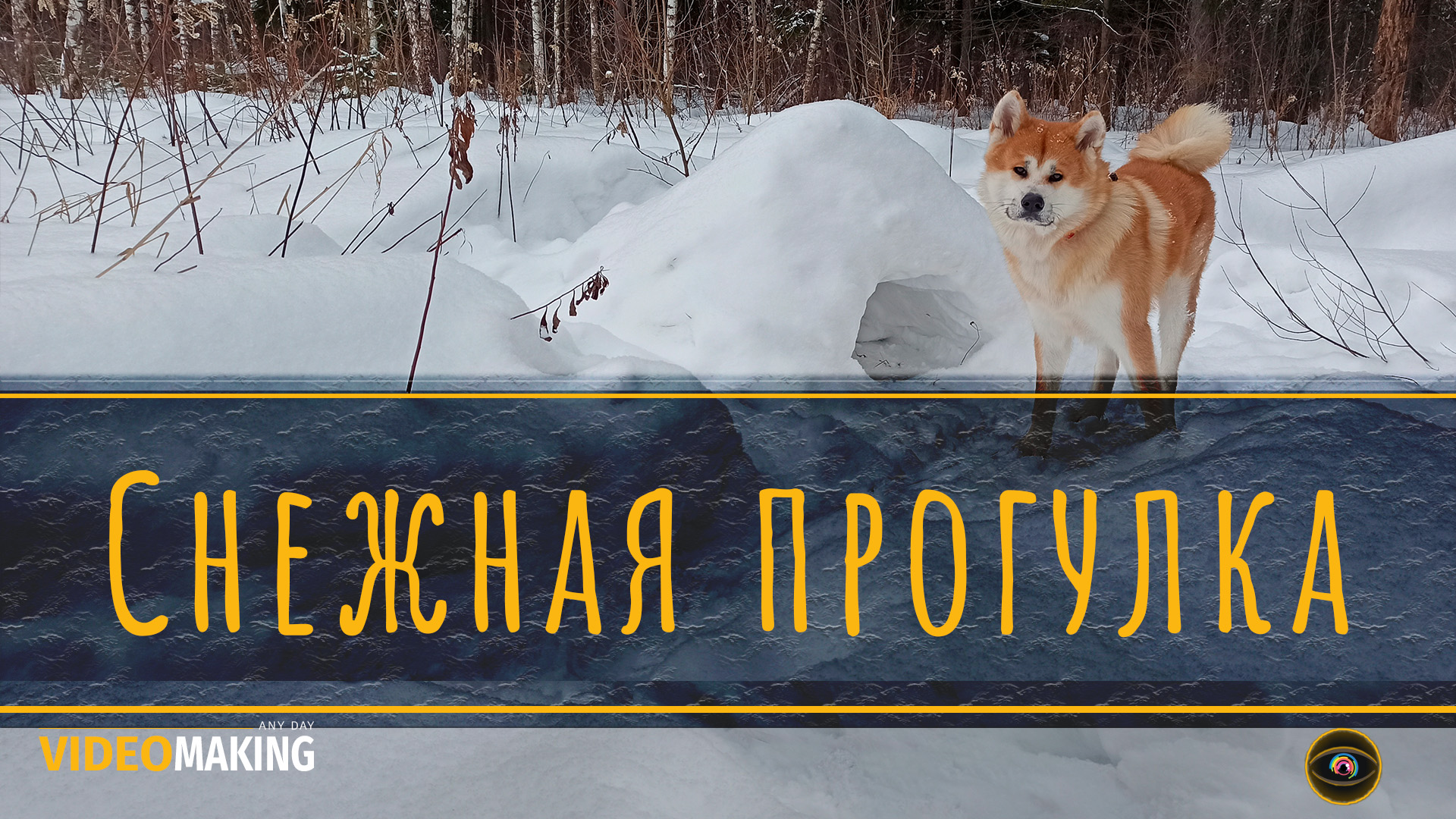 Снежная прогулка