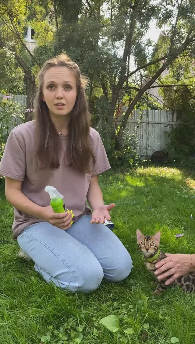 Аванпост Bio спрей репеллентный для кошек и собак