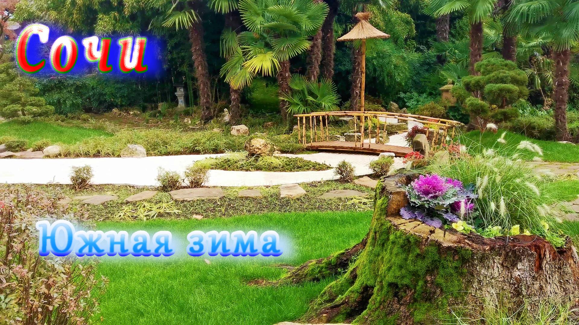 Сочи в Новом году 2023/ Зима на юге, какая она