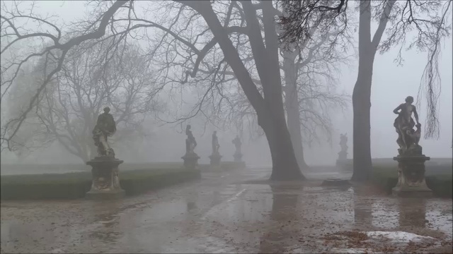 Виталий Дубинин "Гармония"