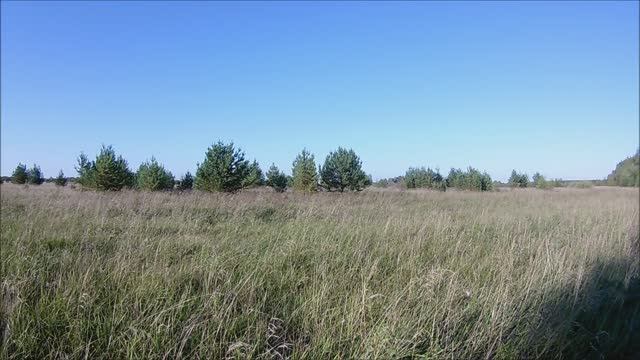 охотничьи зарисовки, 2018.mp4