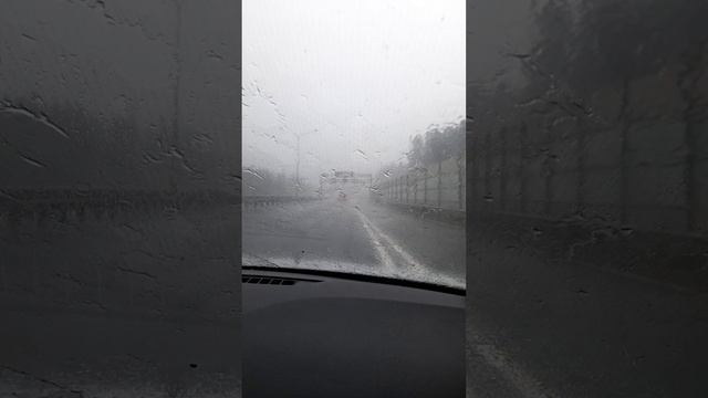 По дороге в Санкт-Петербург нас настиг ураган