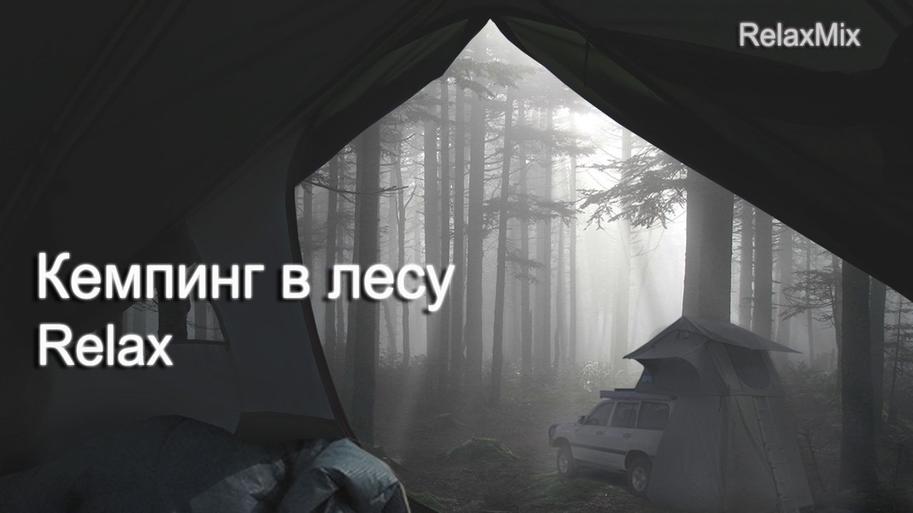 Кемпинг в лесу от бессонницы. Релакс.