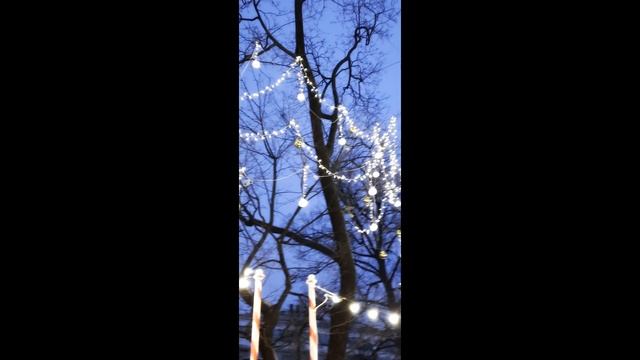 НОВОГОДНЯЯ СКАЗКА