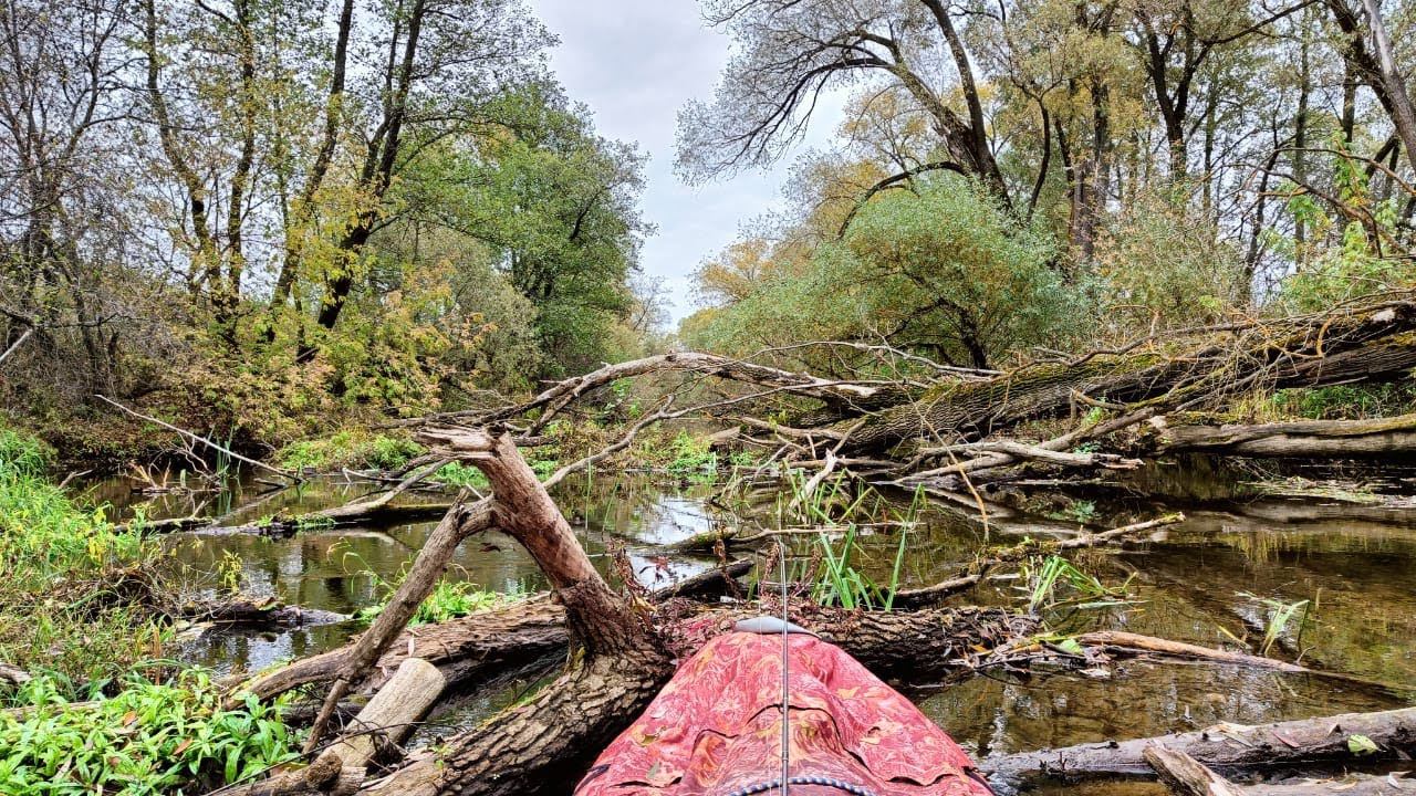 Сплав р. Северка . рыбалка.Октябрь 2022