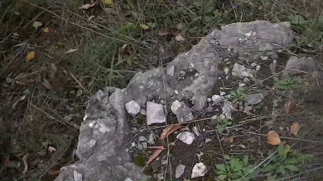 Следопыт. А вы знаете, что в Жигулёвске есть, была. железная дорога с ж.д. вокзала в В-3.
.mp4