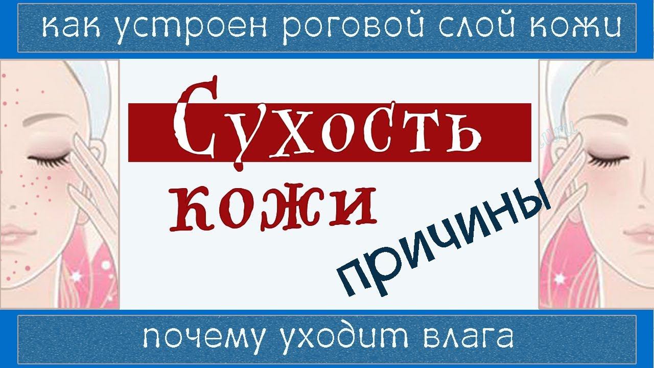 Почему КОЖА СУХАЯ? ✔️ Что надо знать, чтобы правильно СПАСАТЬ (Сухая кожа 1)