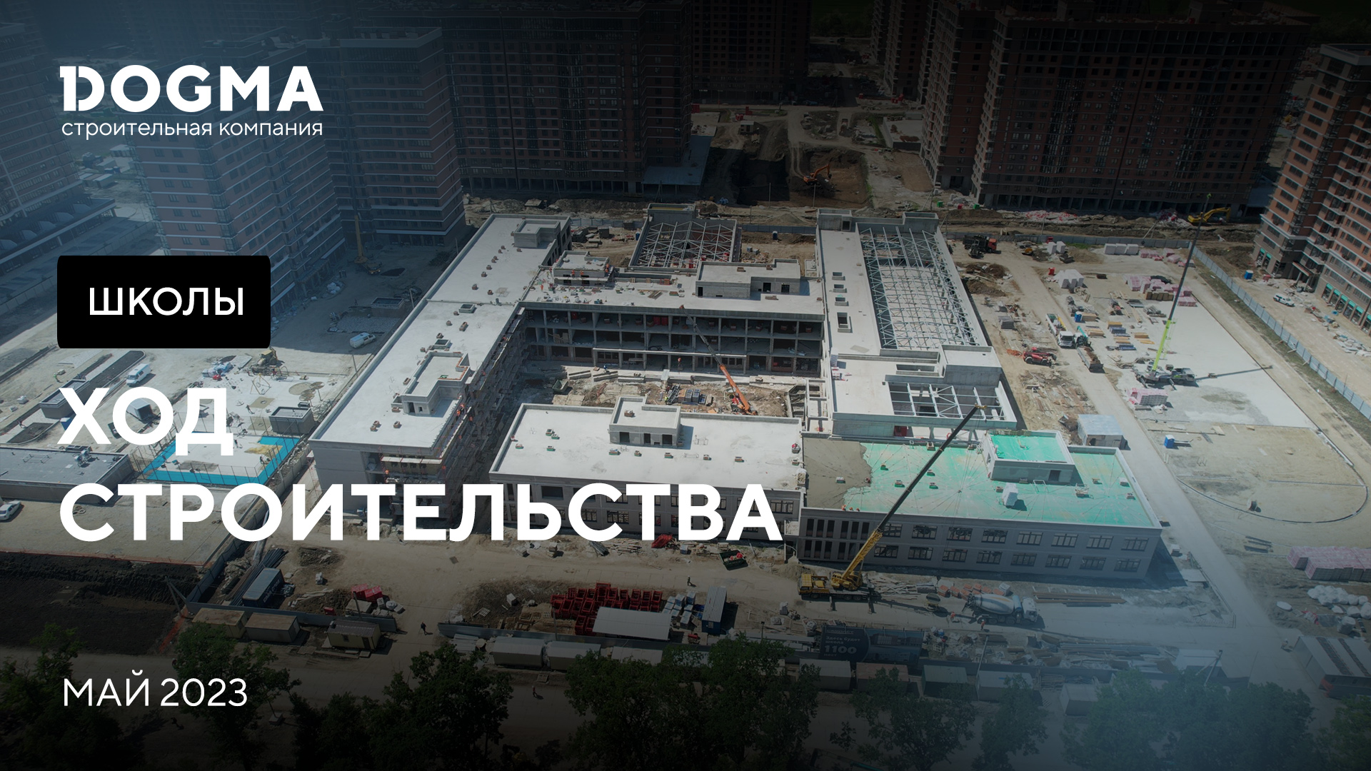 Социальные объекты в DOGMA!