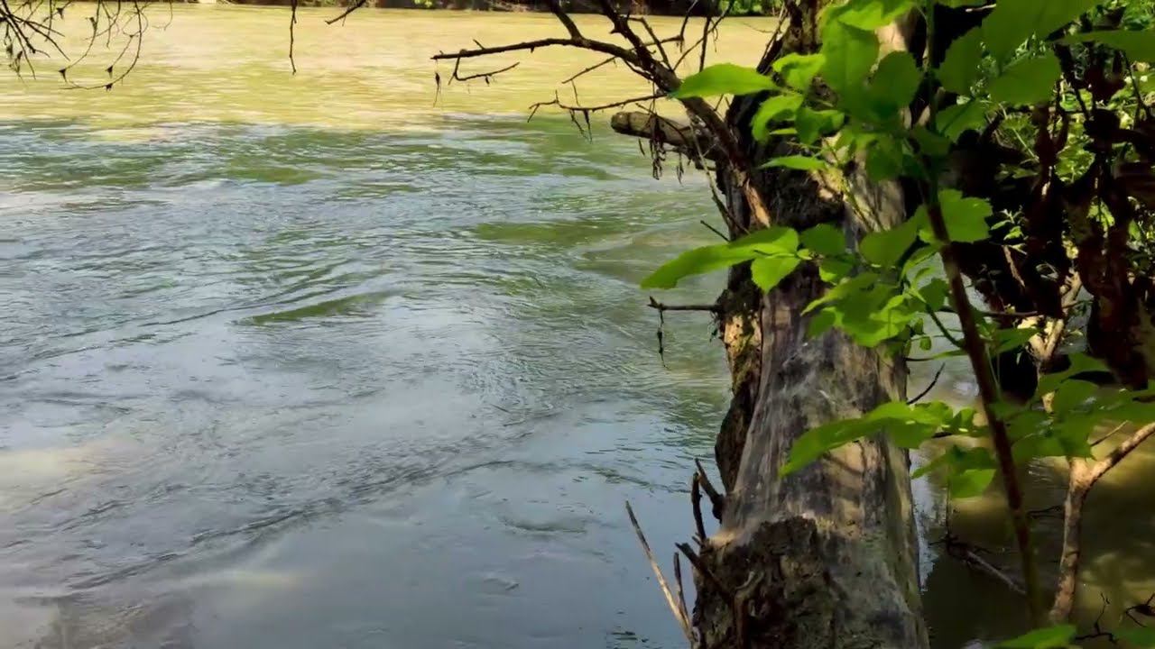 Источник Параскевы Пятницы